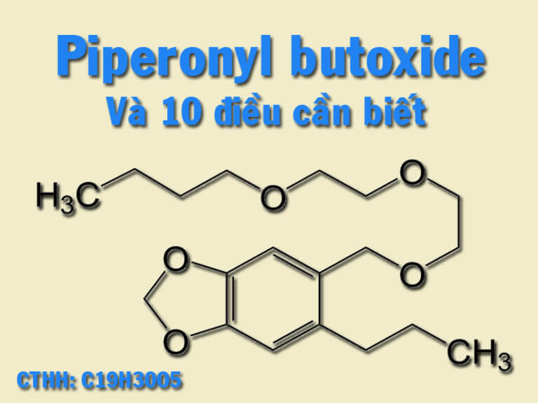 Hoạt chất Piperonyl butoxide là gì? - 10 câu hỏi cần biết (nên xem)