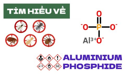 Aluminium Phosphide là gì? Đặc điểm, công dụng, độc tính