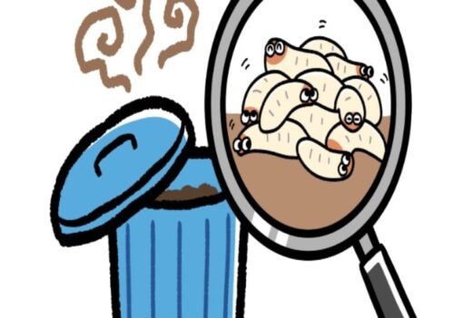 Giòi là con gì? - Cách diệt giòi đơn giản hiệu quả - DIY